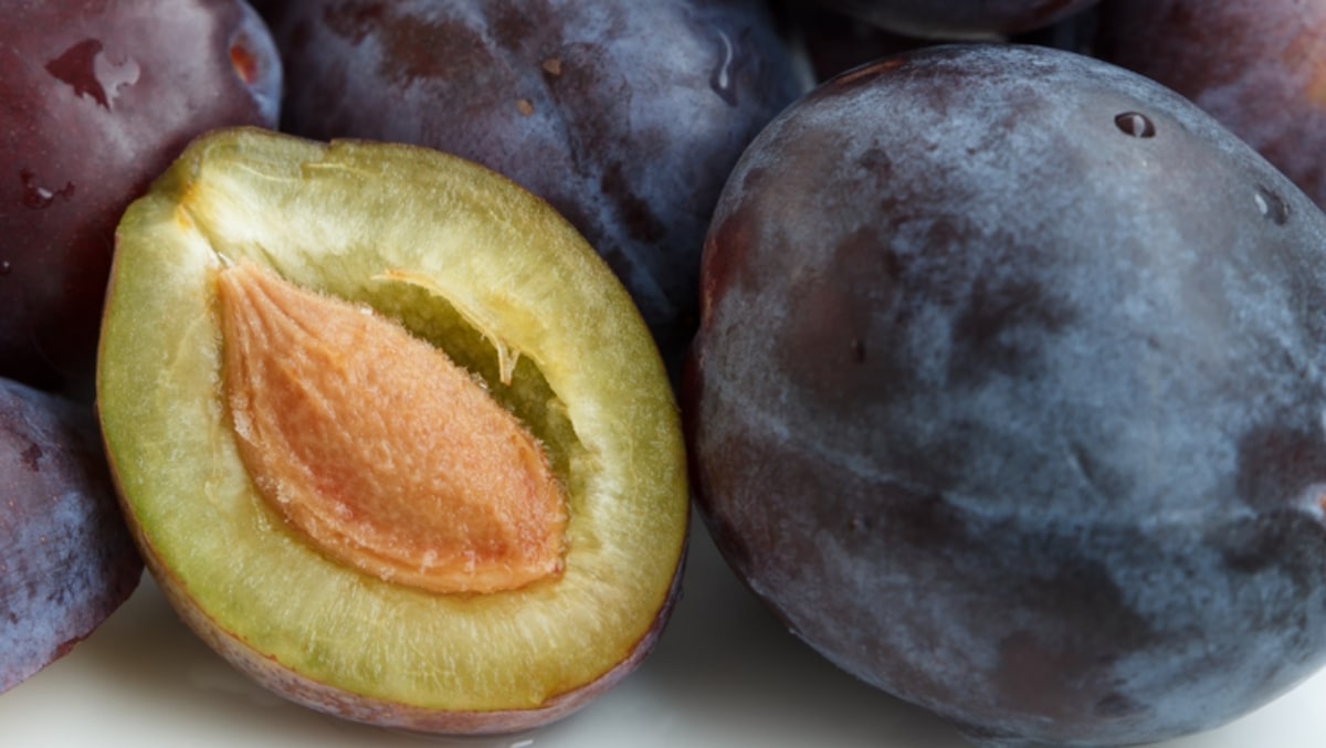 Jak vypěstovat švestku z obyčejné pecky | adbz.cz