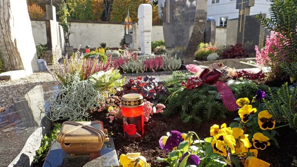 Jaké rostliny můžete použít k ozdobě hrobu v zimě | adbz.cz