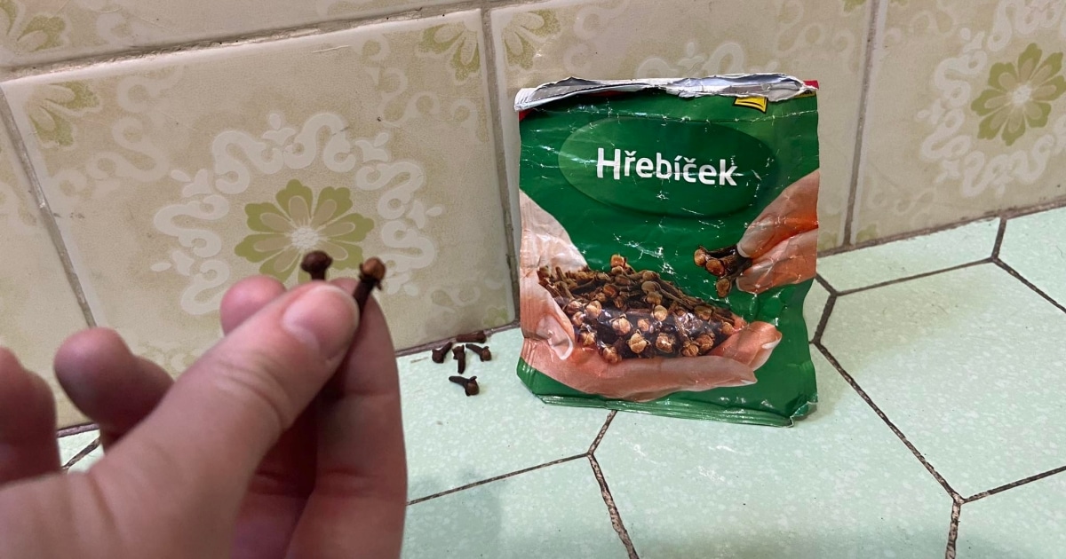 Umístěte do koupelny hřebíček a zbavíte se otravného problému