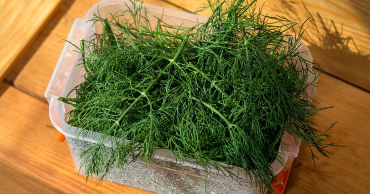 Babička měla v každém šuplíku snítku kopru. Řešila tak otravný problém