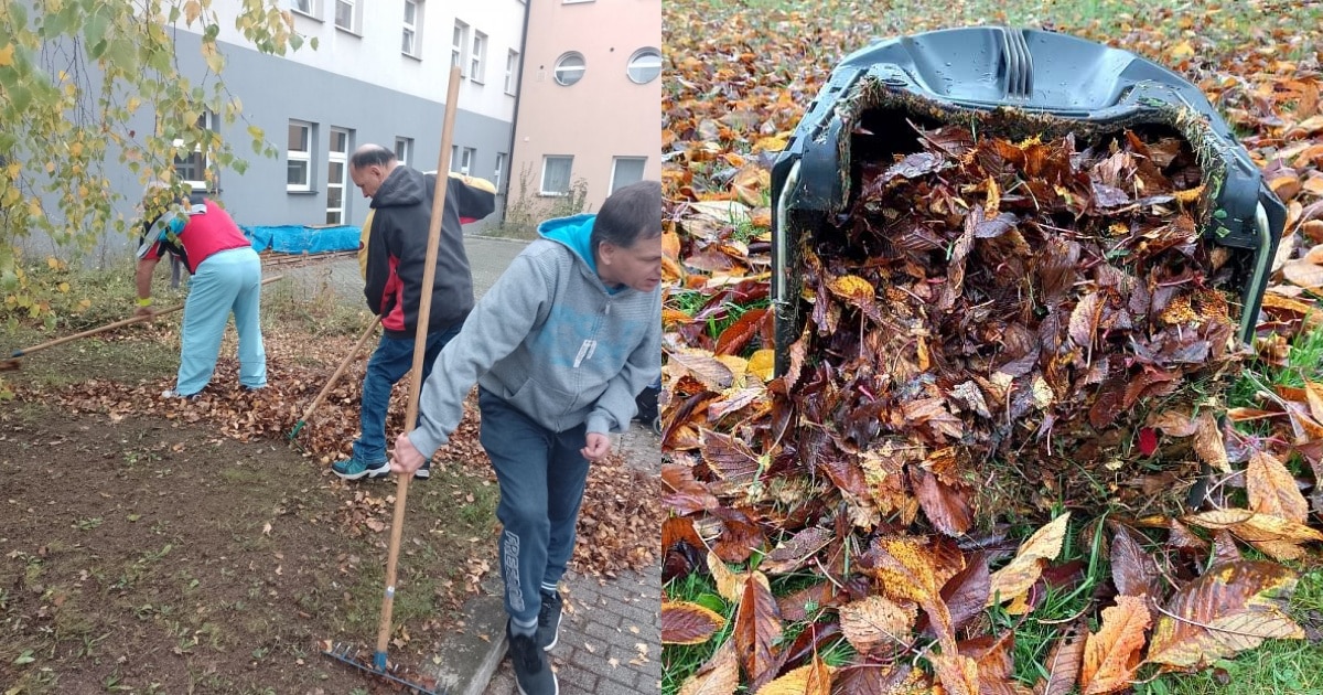 Spadané listí od soused, kdo to uklidí? Známe odpověď